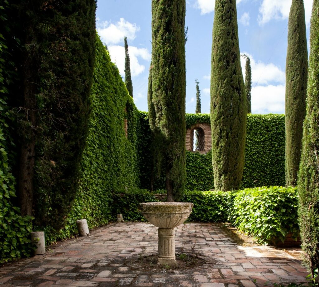 GALERÍA | La democratización de la cultura da un paso más en Toledo: el ...