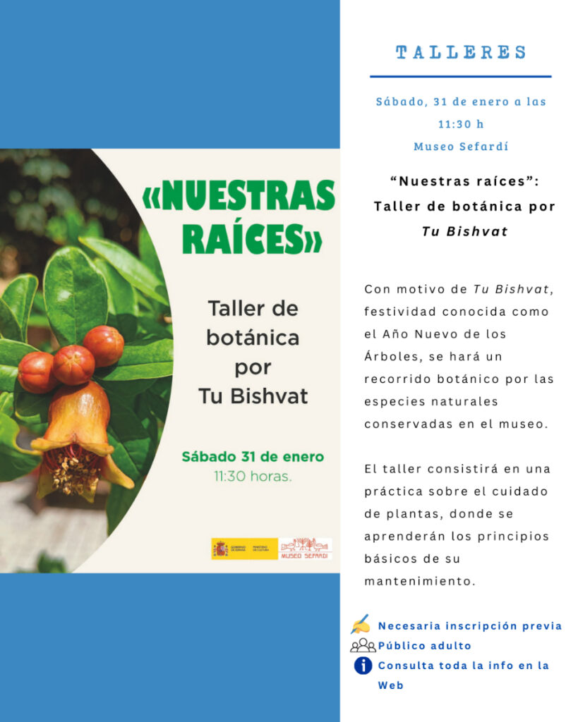 Taller de botánica | 'Nuestras raíces' - Noticias Toledo y Provincia ...